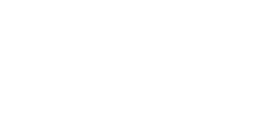 Voi